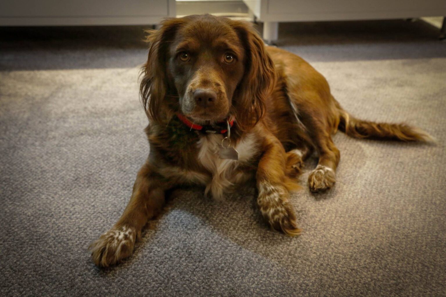 Cornwall Centre For Culture And The Arts CIC – At Redruth Wesley